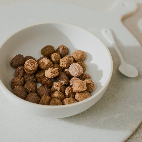 ilume Reviews 2024 - Read Before You Buy | Thingtesting